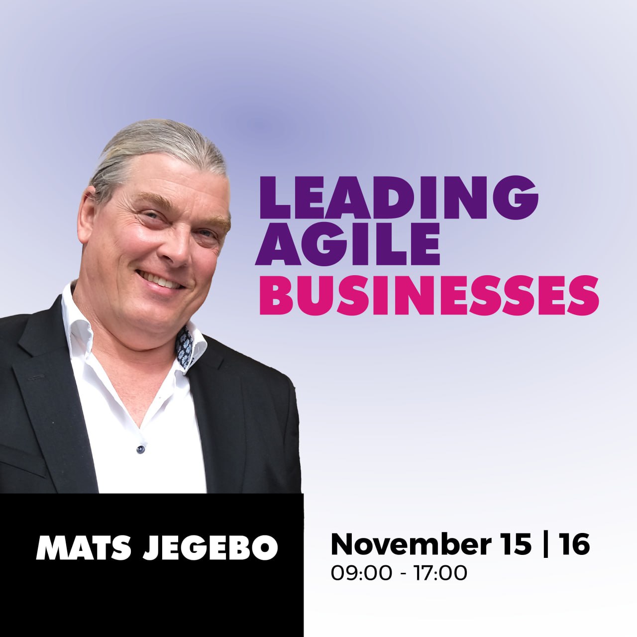 Leading Agile businesses - Change consulting and training